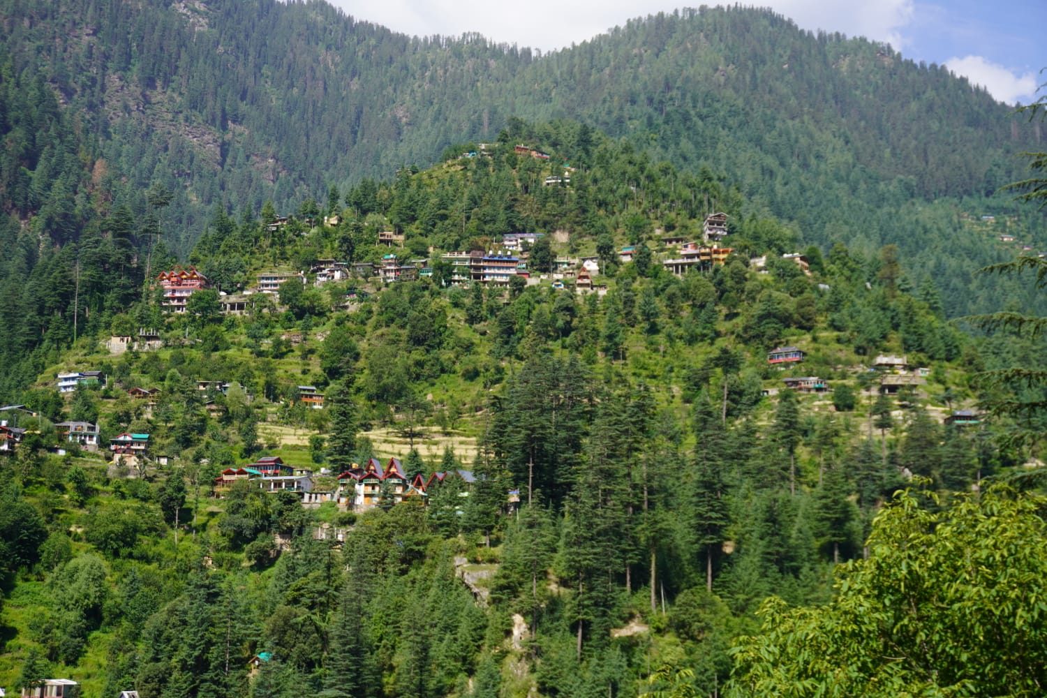 Jibhi in May & June 2026: The Complete Peak Season Guide | Winterfell Jibhi
